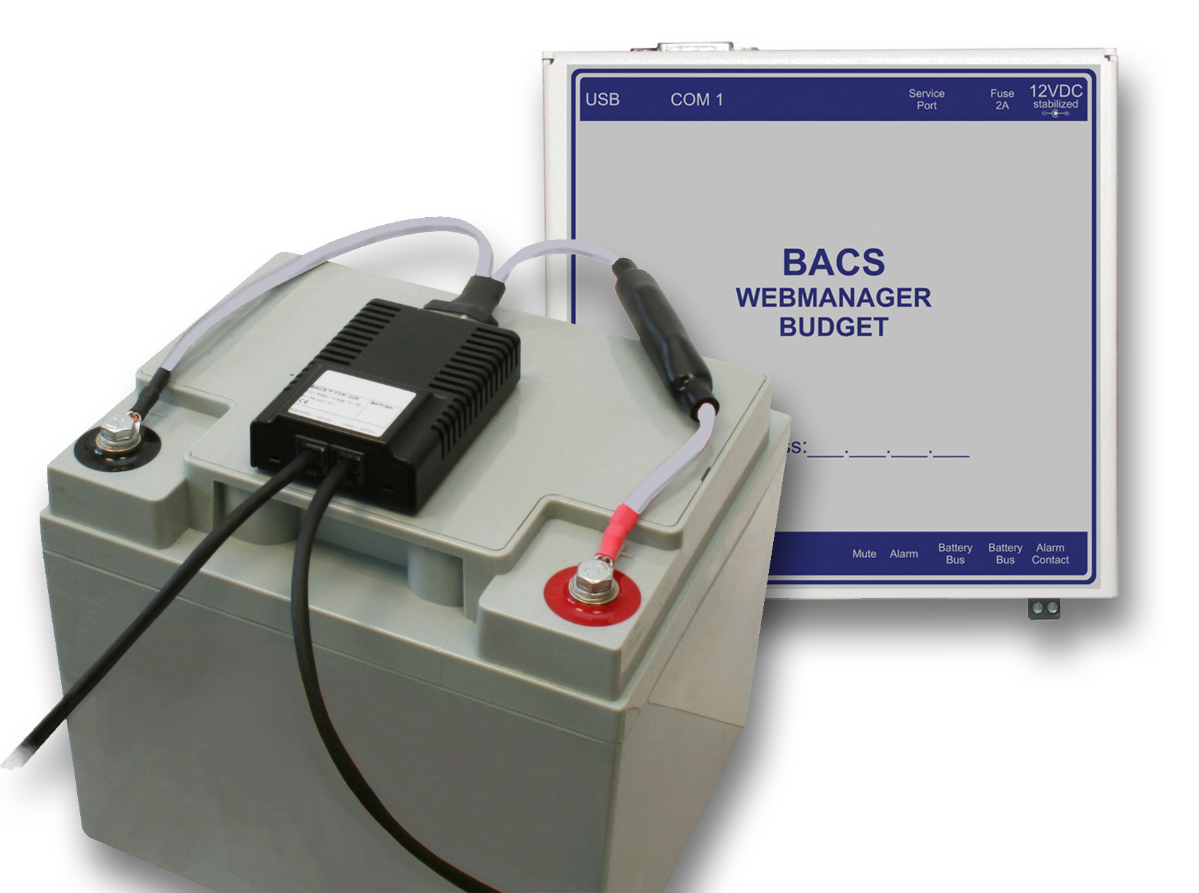 The BACS Family: A Chain of Scope | Generex